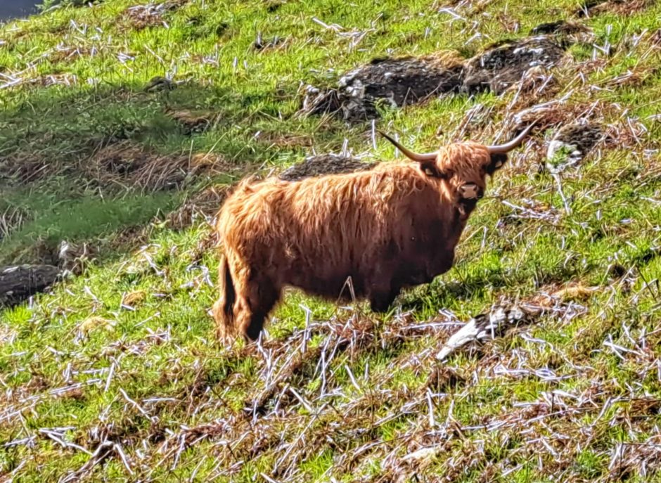 A walk to the Old Forge, Inverie, Britain's remotest pub - Come Walk ...